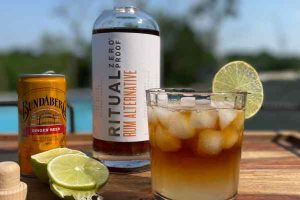 The Best Tasting Non-Alcoholic Rum | Simple Mocktail Recipes