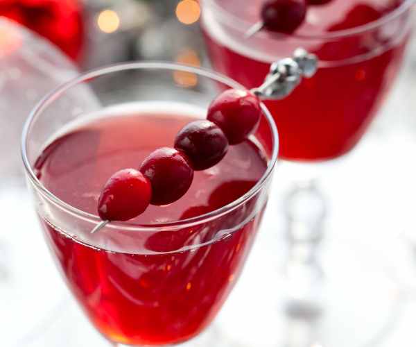 13 Variations Of Mocktails With Cranberry Juice | Simple Mocktail Recipes